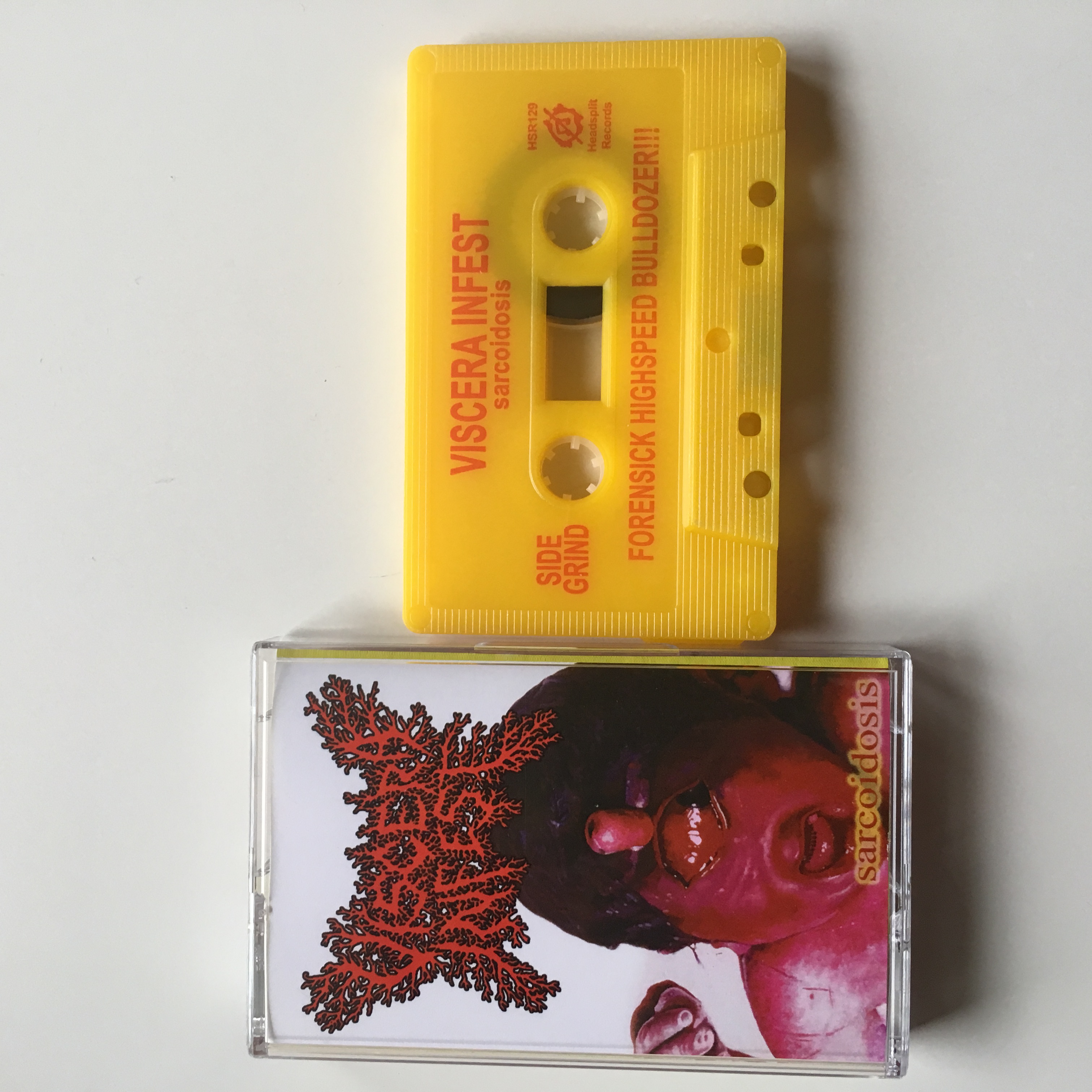 Viscera Infest - "Sarcoidosis" · Headsplit Records · Online Store ...